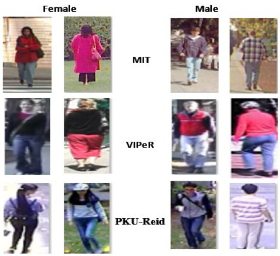 Mathematics | Free Full-Text | Gender Classification Using Proposed CNN ...