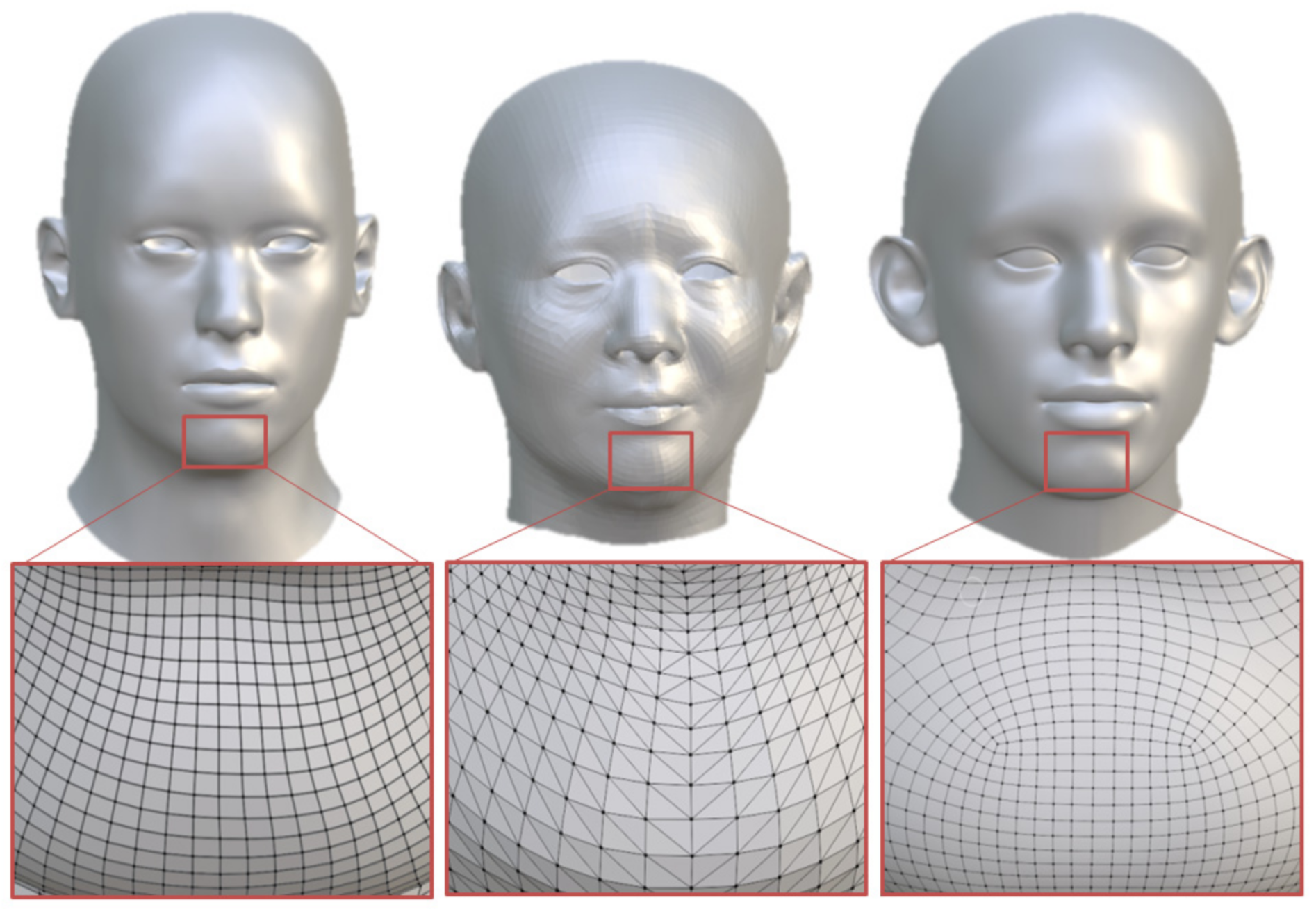 PDE Surface-Represented Facial Blendshapes