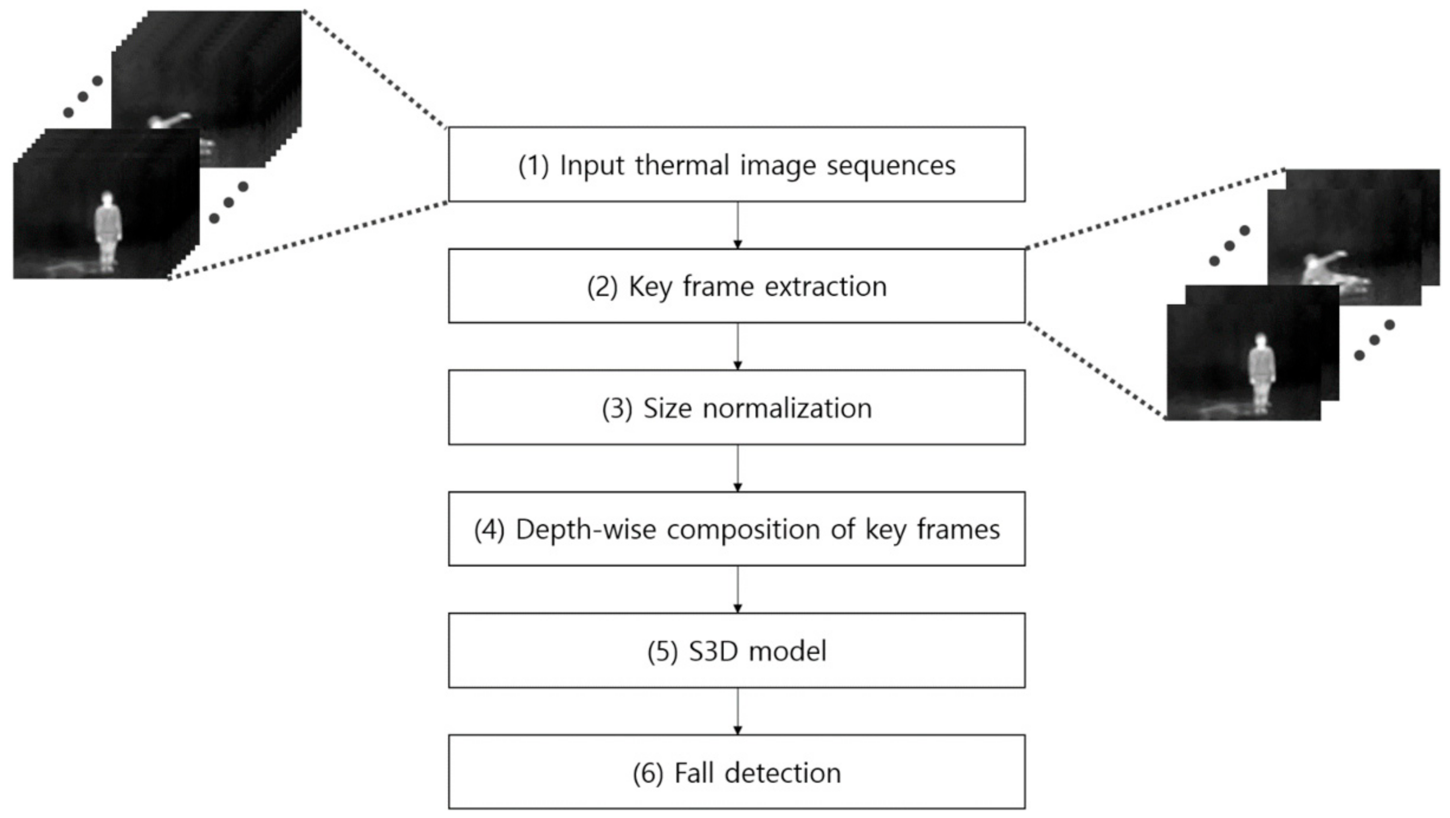 S3D: Squeeze and Excitation 3D Convolutional Neural Networks for a Fall Detection System