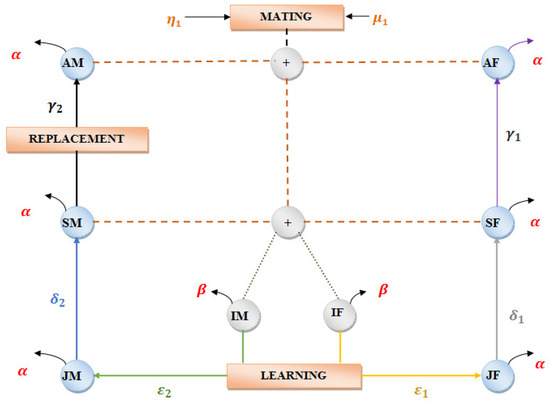 Mathematics | Free Full-Text | JMA: Nature-Inspired Java Macaque ...