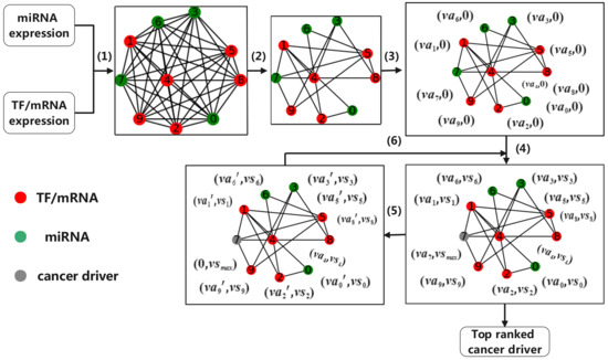Mathematics | Special Issue : Complex Network Modeling: Theory and ...