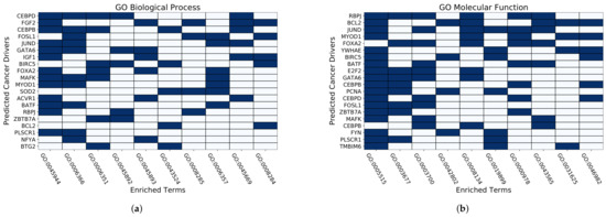 Mathematics | Special Issue : Complex Network Modeling: Theory and Applications