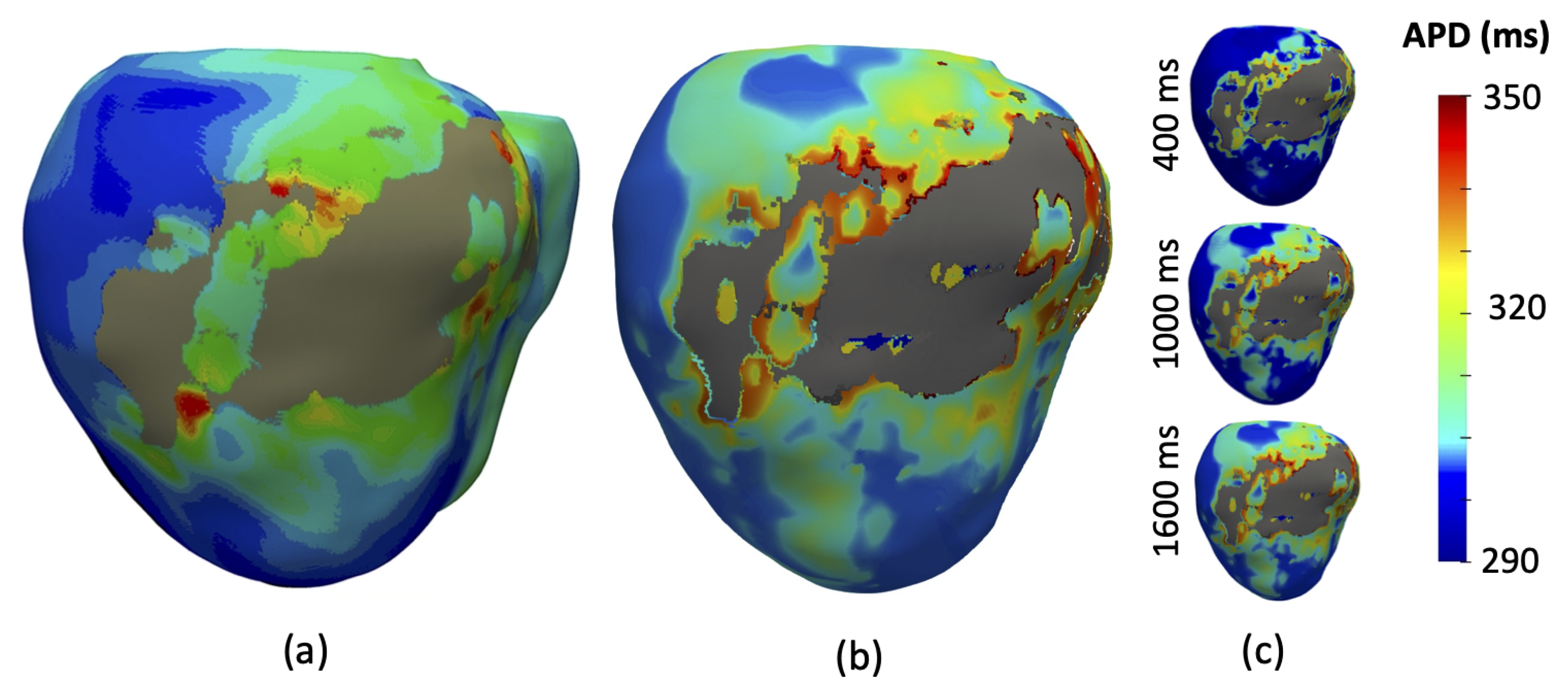 An Automata-Based Cardiac Electrophysiology Simulator to Assess ...