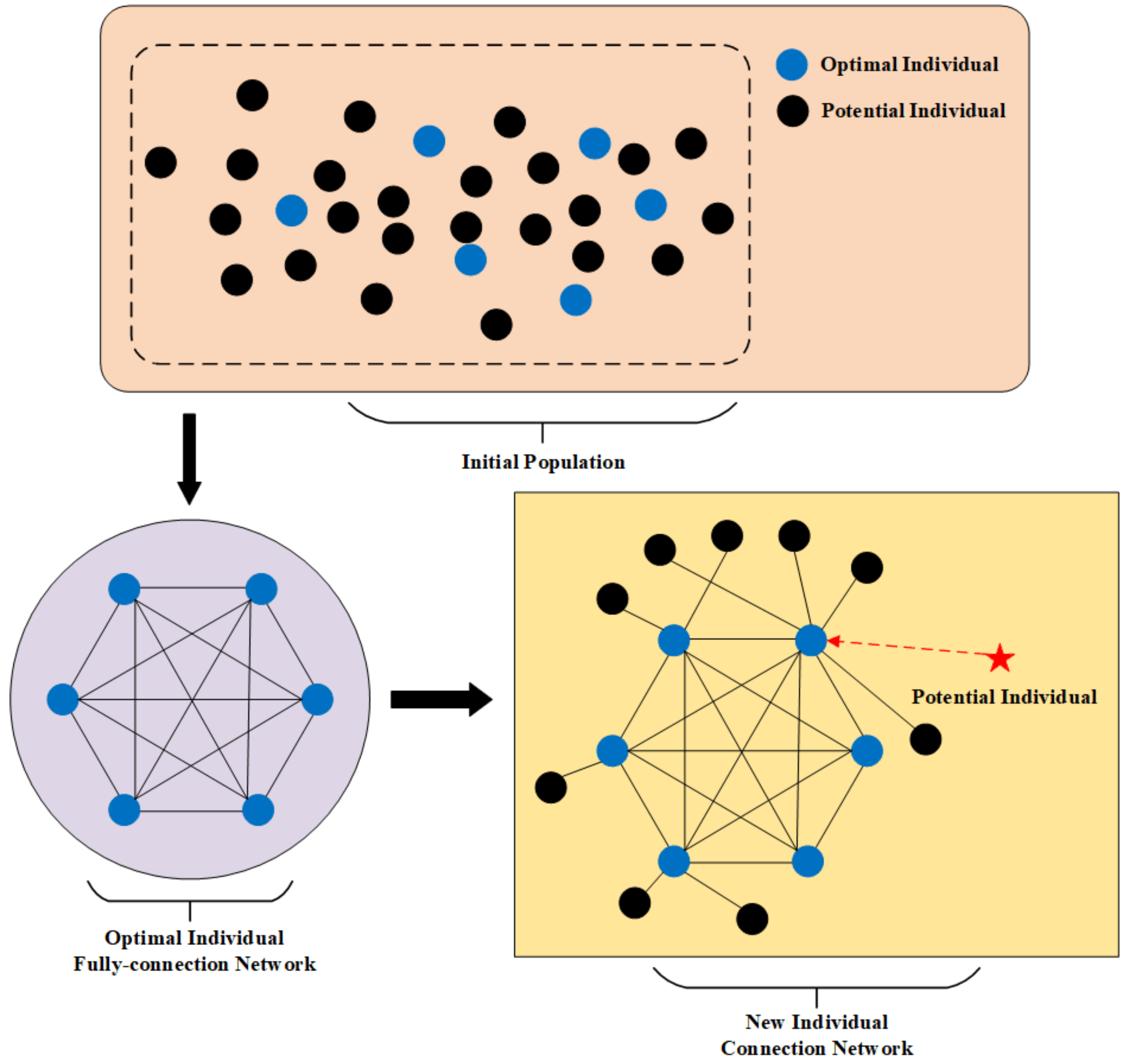 Enhancing Firefly Algorithm with Dual-Population Topology Coevolution