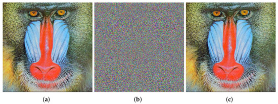 An Image Encryption Scheme Synchronizing Optimized Chaotic Systems Implemented on Raspberry Pis