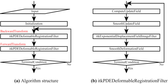 Symmetric Diffeomorphic Image Registration with Multi-Label Segmentation Masks