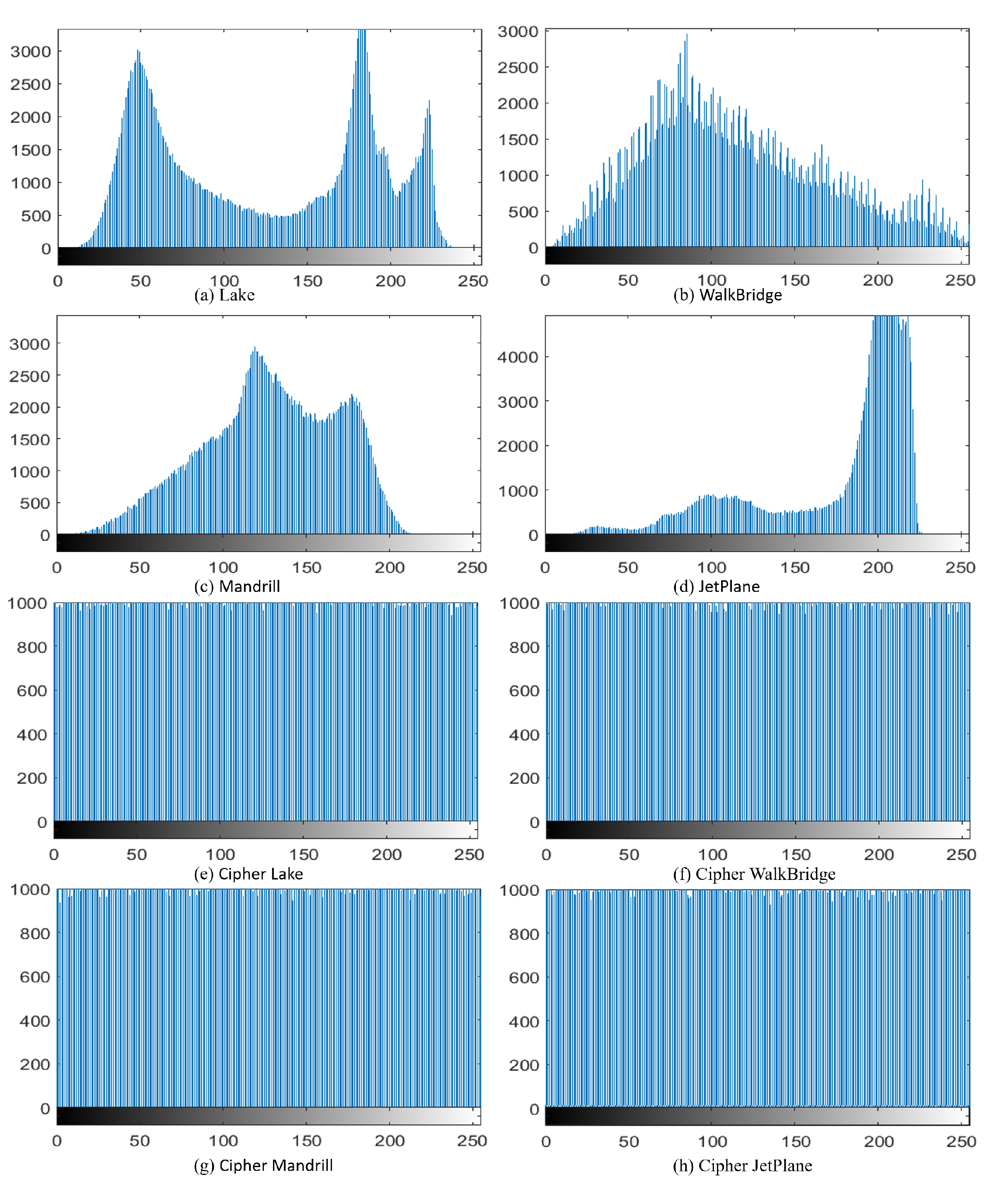 A Novel Chaos-Based Cryptography Algorithm and Its Performance Analysis