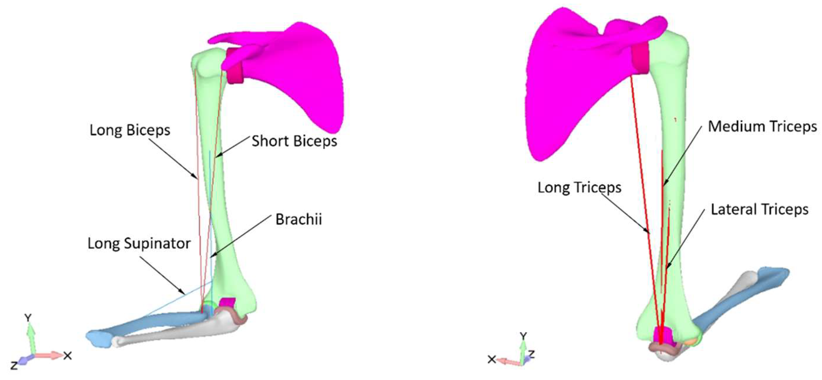 Mathematics | Free Full-Text | Mechanical Model and FEM Simulations for ...