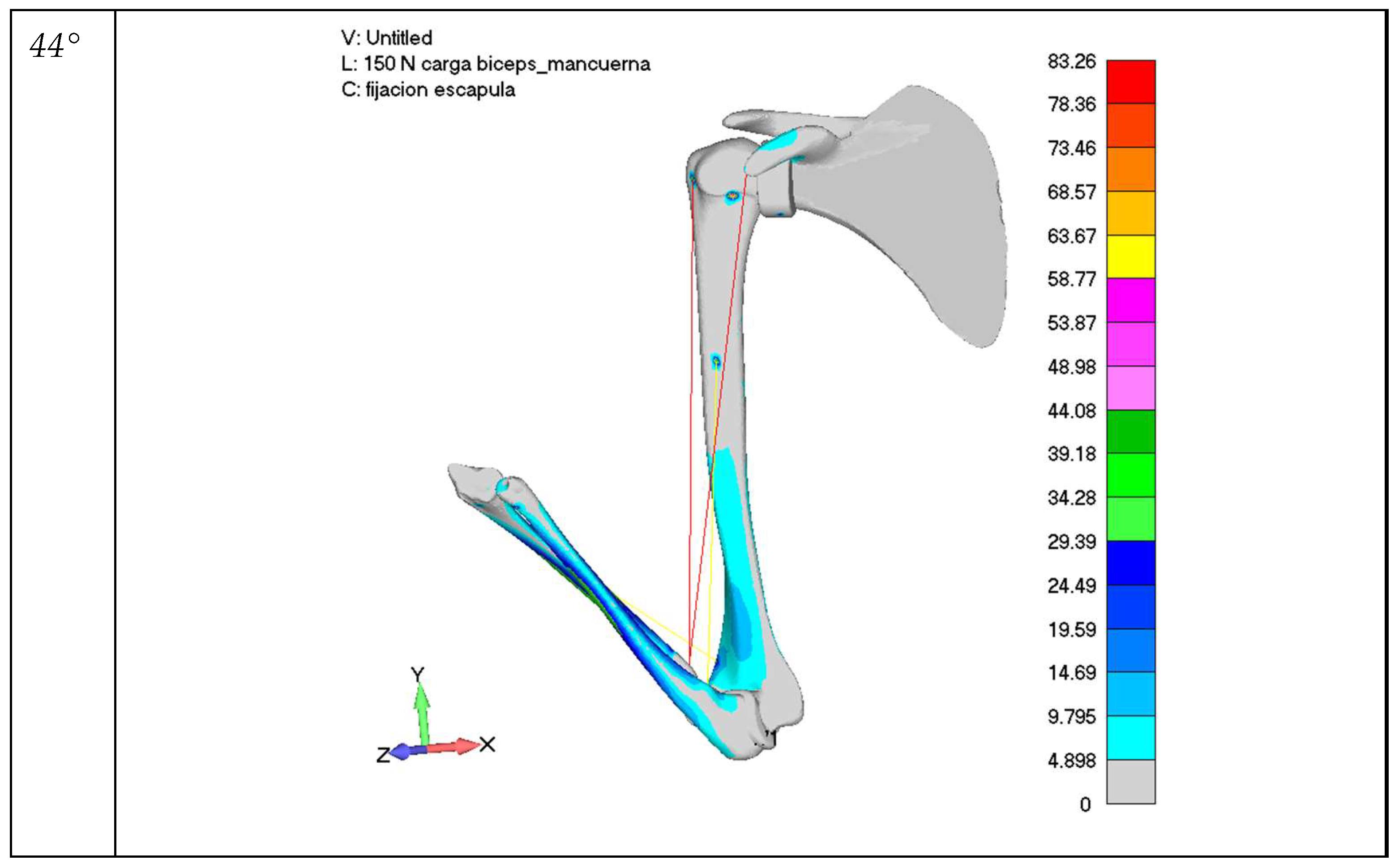 Mechanical Model and FEM Simulations for Efforts on Biceps and Triceps ...