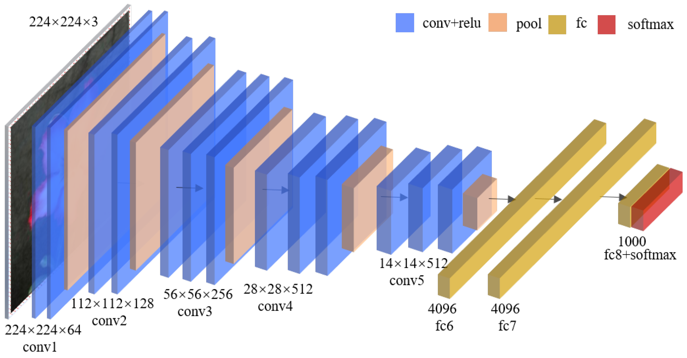 A Parallel Convolution and Decision Fusion-Based Flower Classification ...