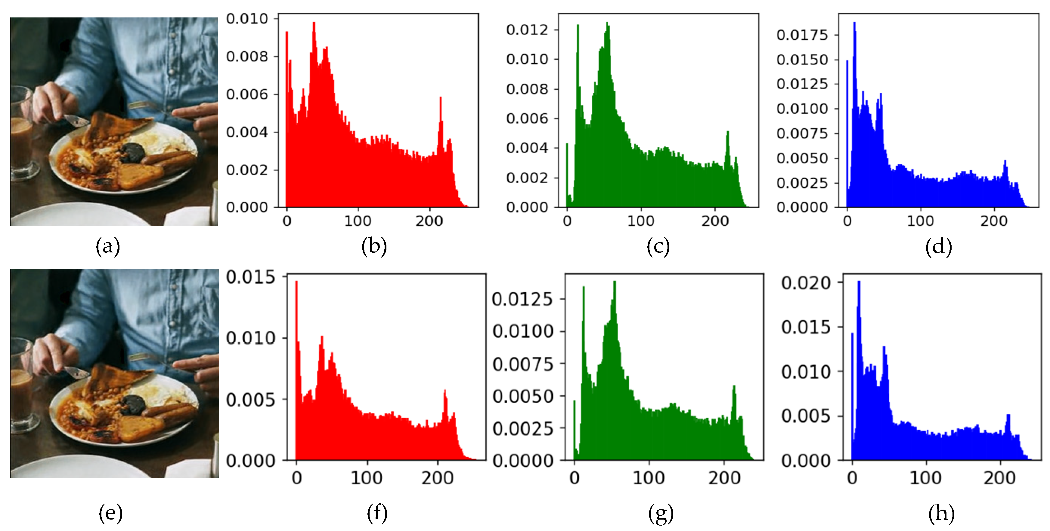 Steganography with High Reconstruction Robustness: Hiding of Encrypted ...