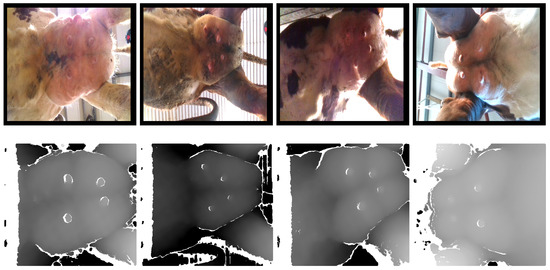 Optimized Deep-Learning-Based Method for Cattle Udder Traits Classification