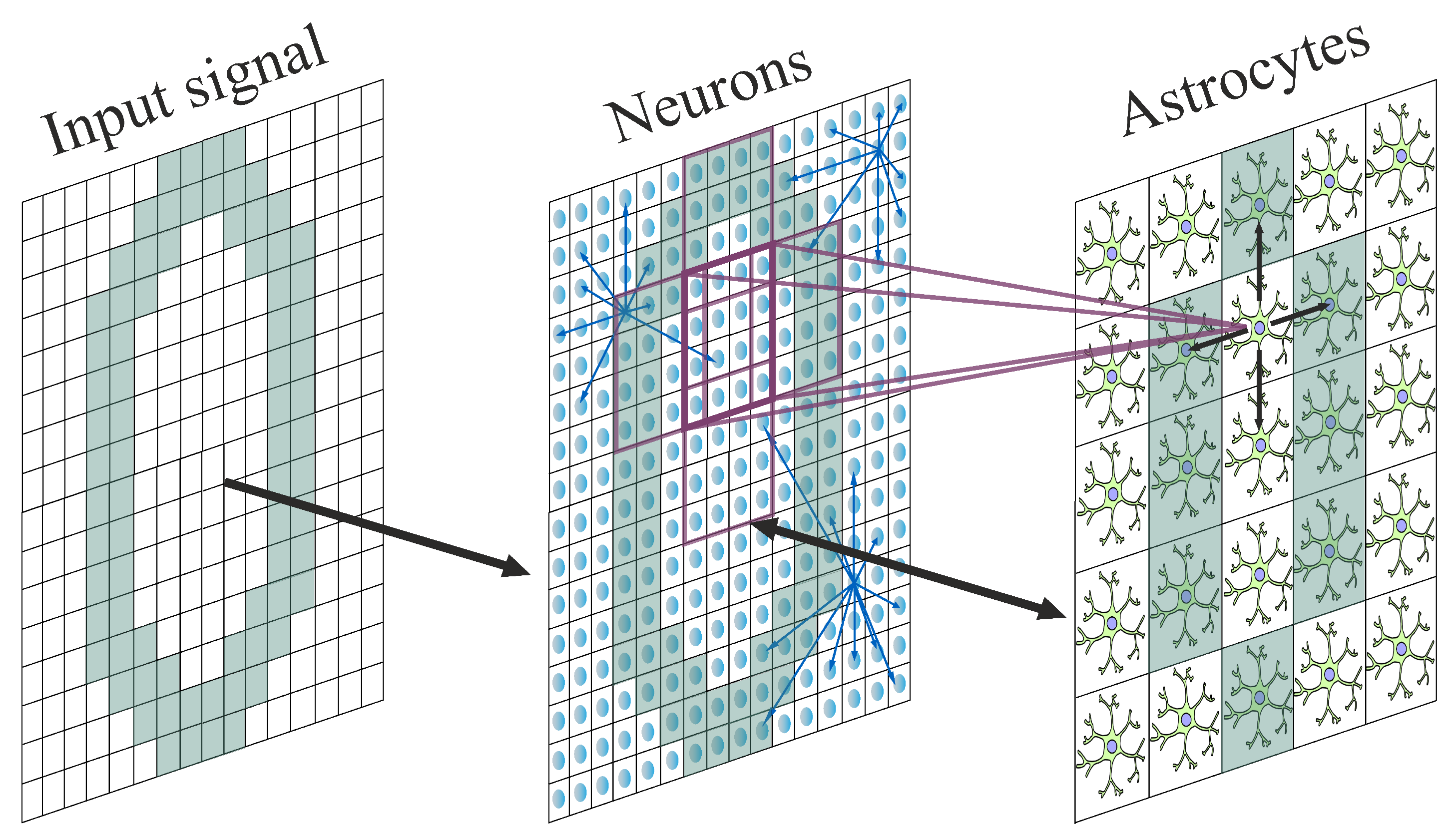 Mathematics | Free Full-Text | Impact of Astrocytic Coverage of ...