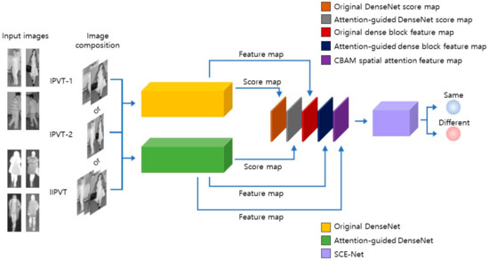 OADE-Net: Original and Attention-Guided DenseNet-Based Ensemble Network for Person Re ...