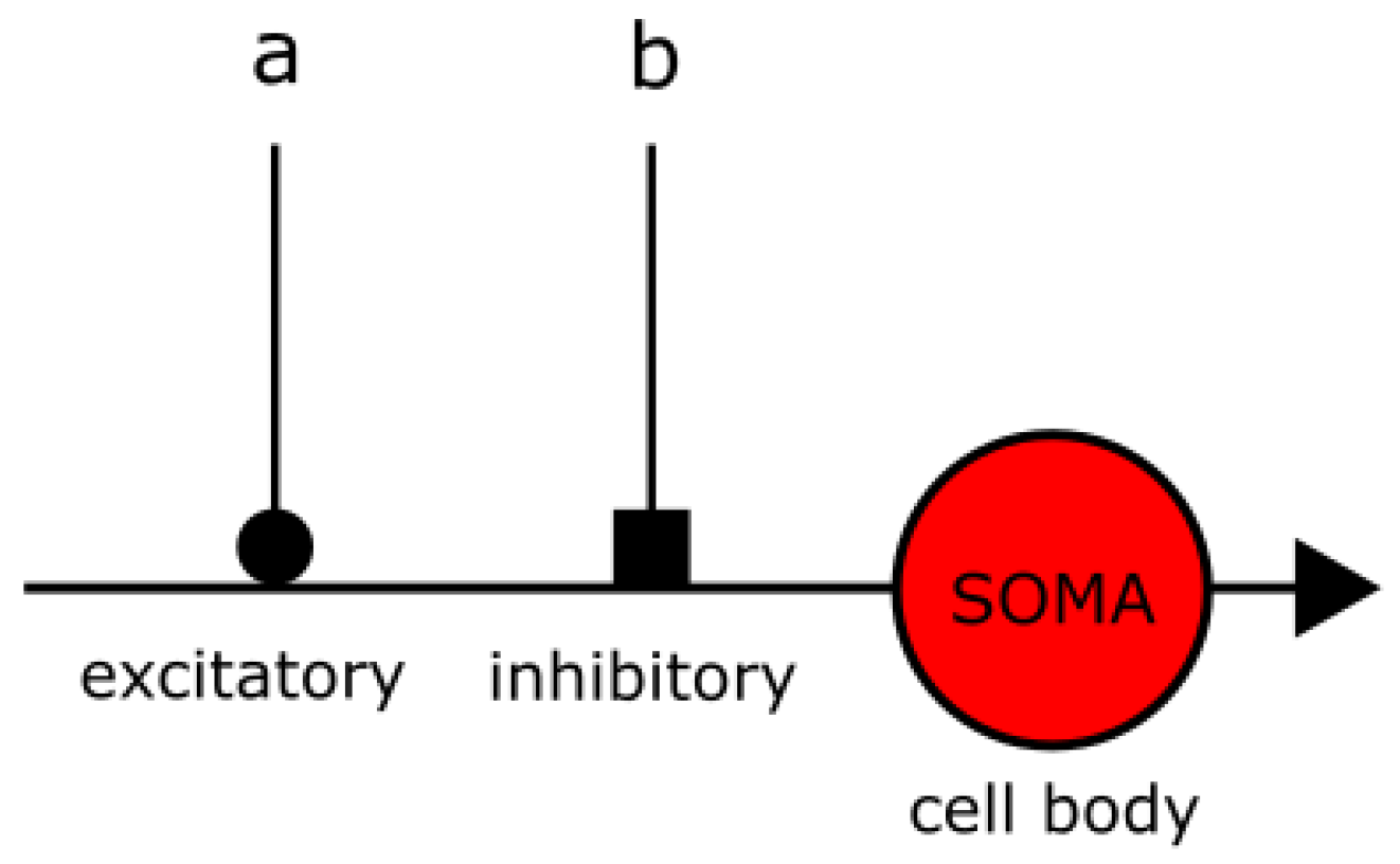 A Novel Bio-Inspired Motion Direction Detection Mechanism in Binary and ...
