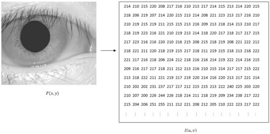 Mathematics | Free Full-Text | Using Probabilistic Models for Data Compression