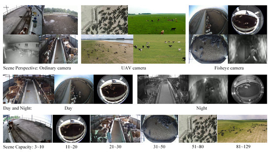 Cattle Number Estimation On Smart Pasture Based On Multi Scale Information Fusion