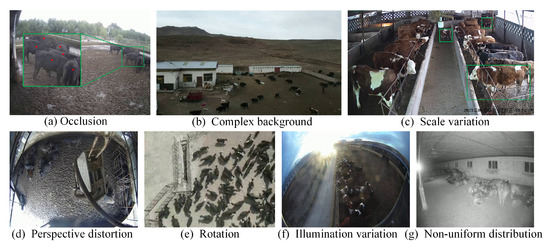 Cattle Number Estimation On Smart Pasture Based On Multi Scale Information Fusion