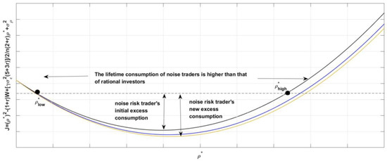 Noise Trader Risk and Wealth Effect: A Theoretical Framework