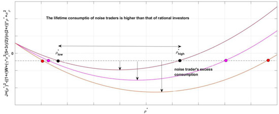 Noise Trader Risk and Wealth Effect: A Theoretical Framework