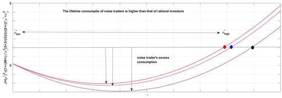 Noise Trader Risk and Wealth Effect: A Theoretical Framework