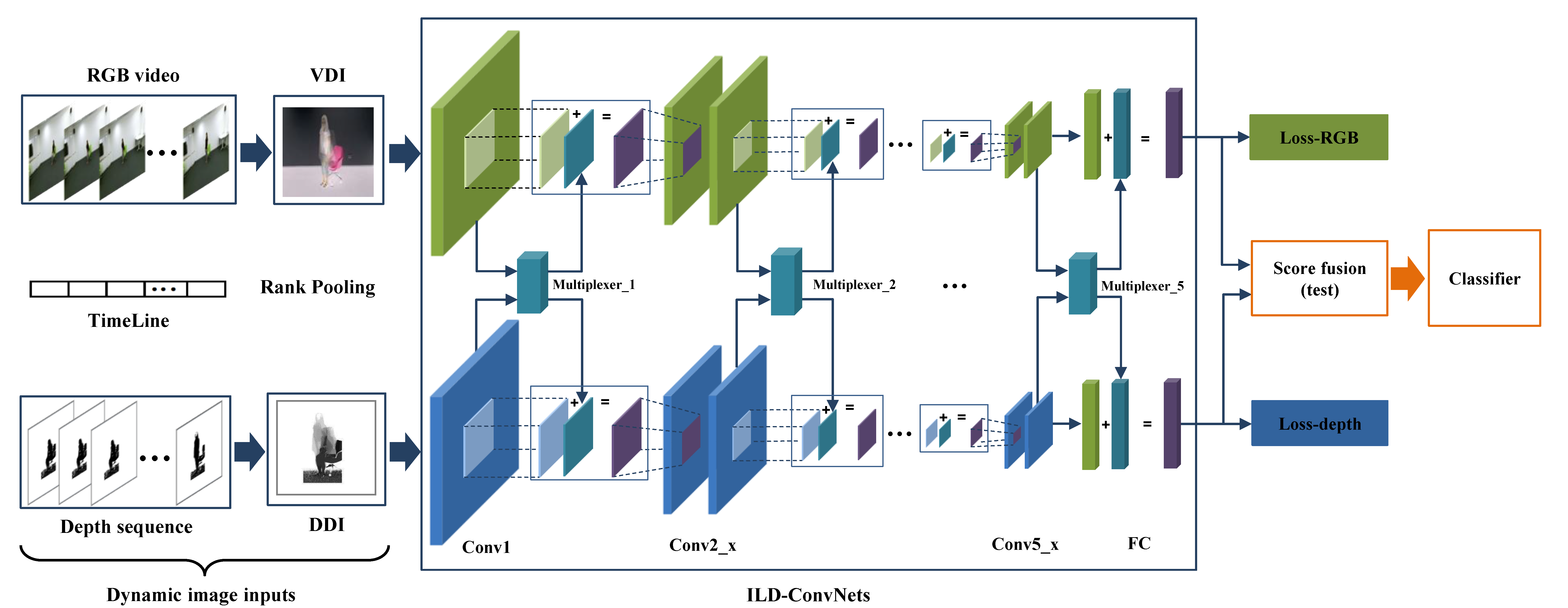 Interactive Learning of a Dual Convolution Neural Network for Multi-Modal Action Recognition