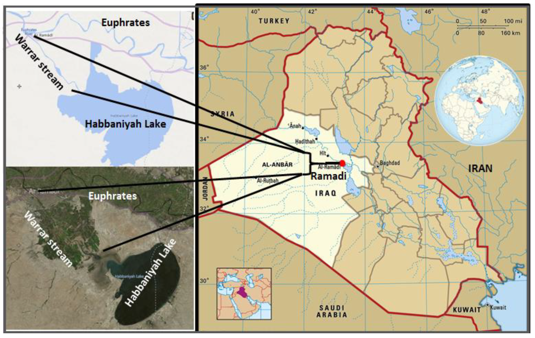 Application of Computational Model Based Probabilistic Neural Network ...