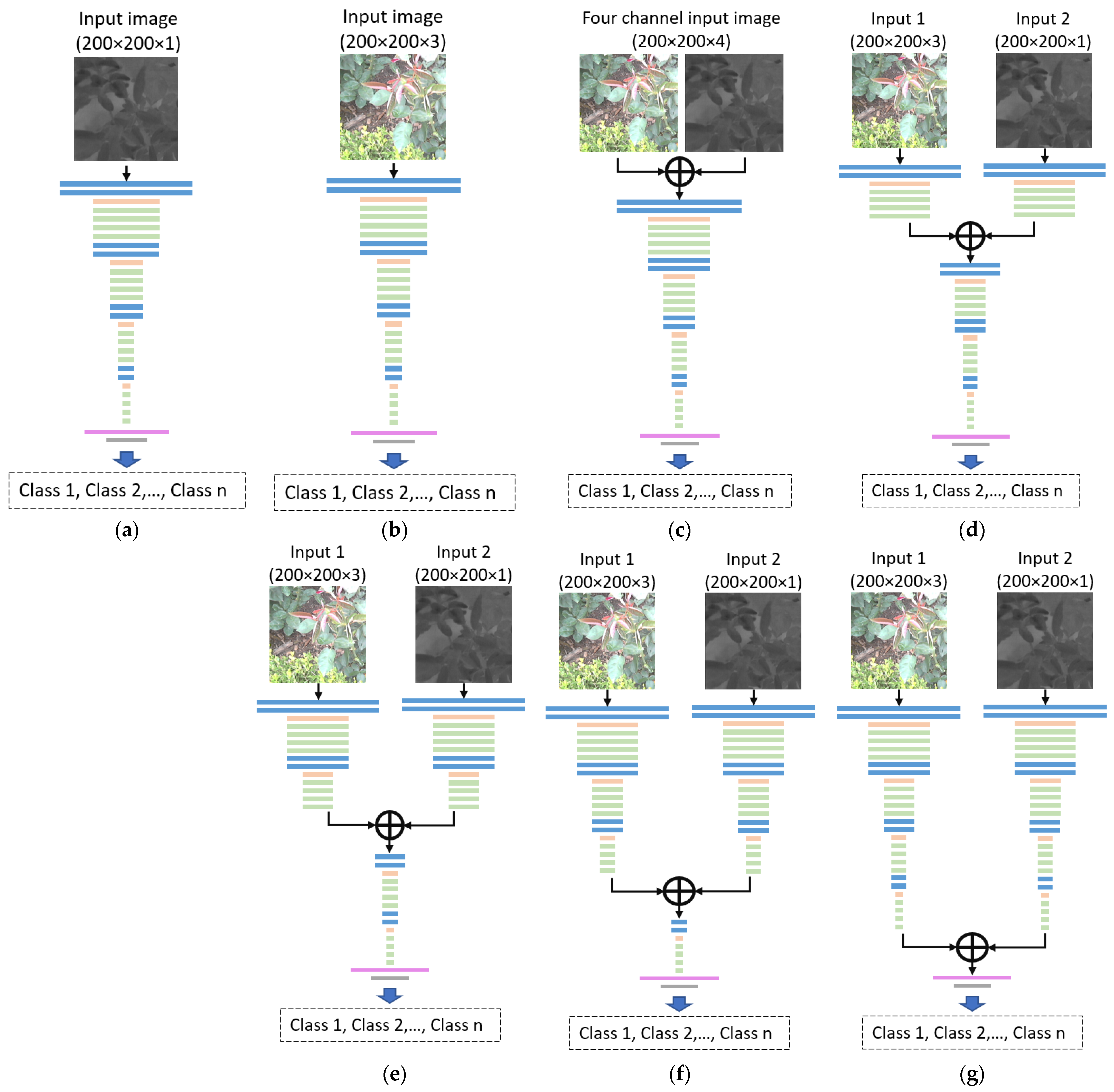 Mathematics | Free Full-Text | Deep Learning-Based Plant Classification Using Nonaligned Thermal ...