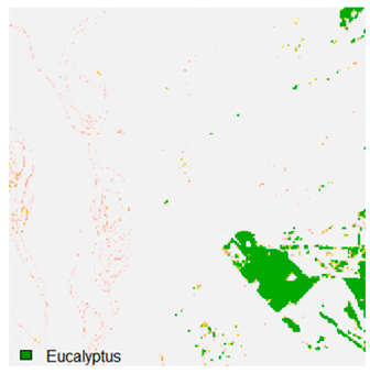 Fuzzy Based Convolutional Noise Clustering Classifier to Handle the Noise and Heterogeneity in ...