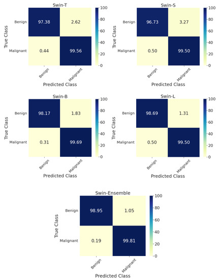 BreaST-Net: Multi-Class Classification of Breast Cancer from ...