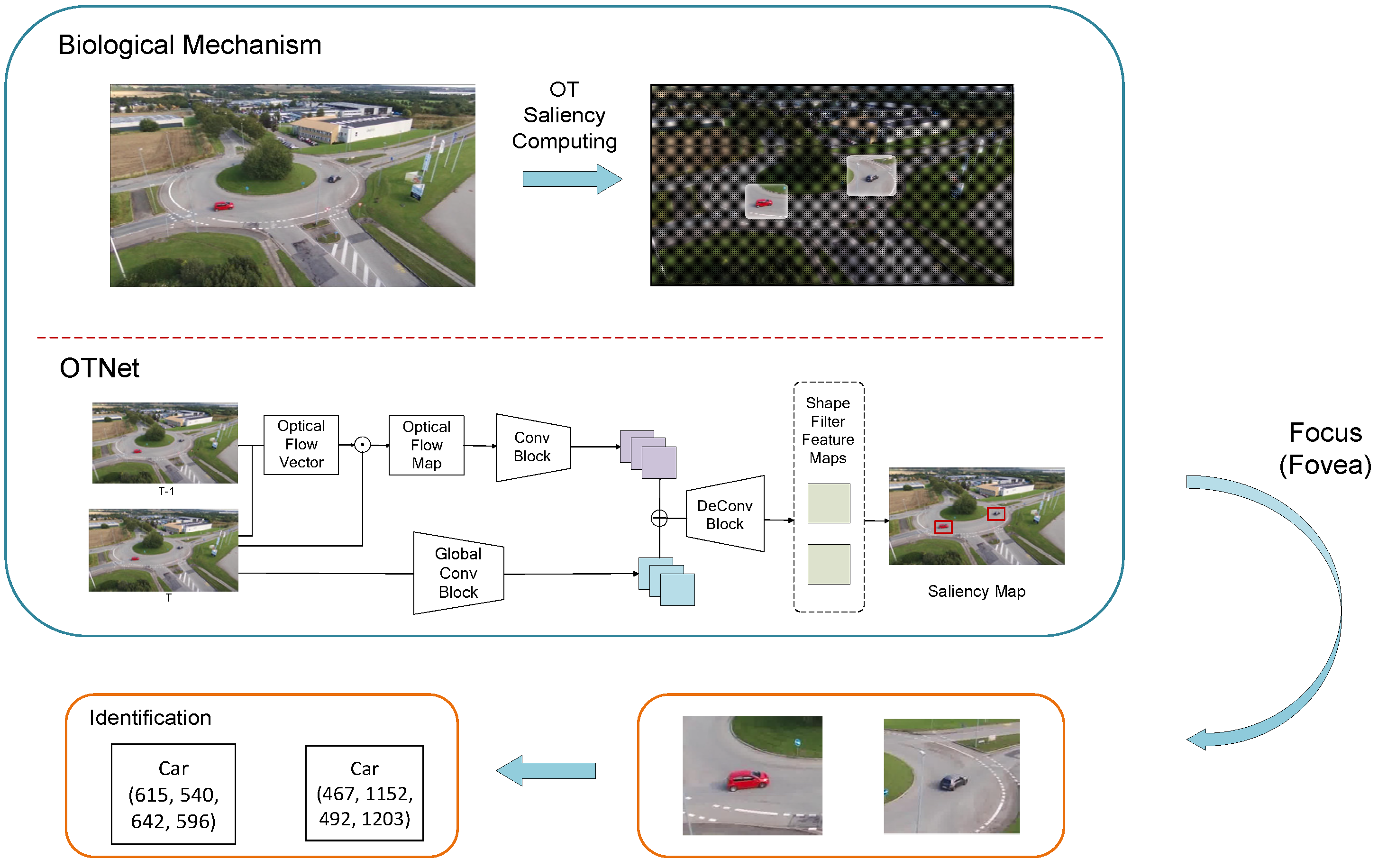 OTNet: A Small Object Detection Algorithm for Video Inspired by Avian Visual System