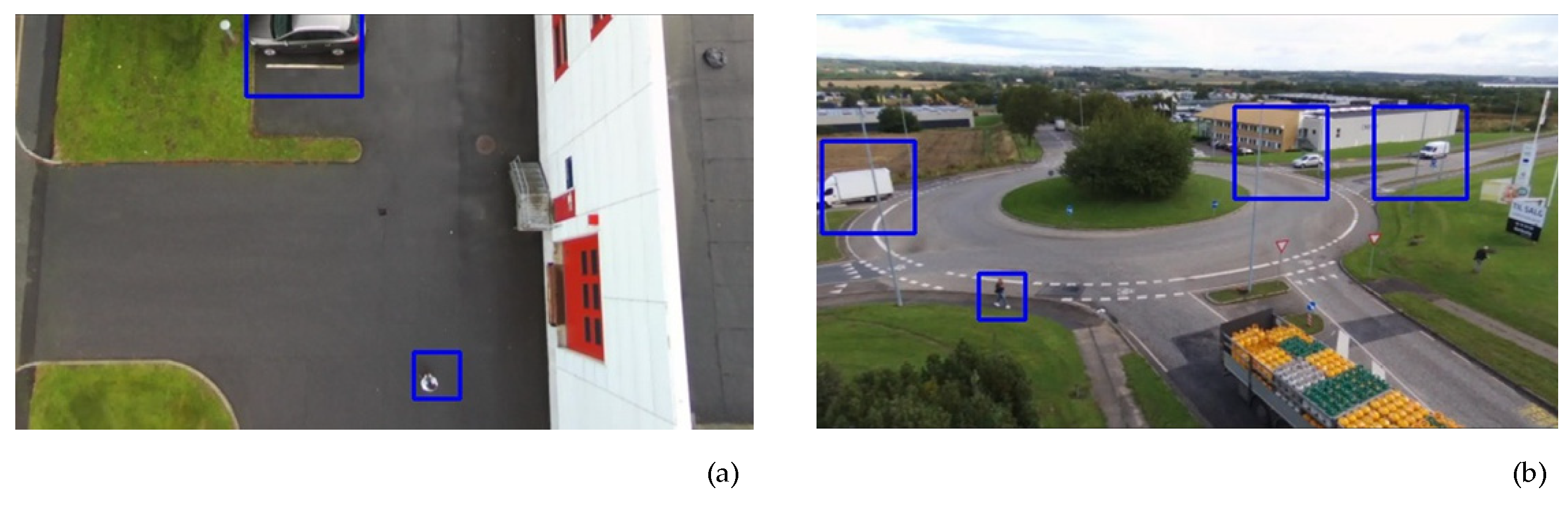 OTNet: A Small Object Detection Algorithm for Video Inspired by Avian ...