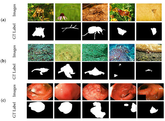 Camouflage Object Segmentation Using an Optimized Deep-Learning Approach