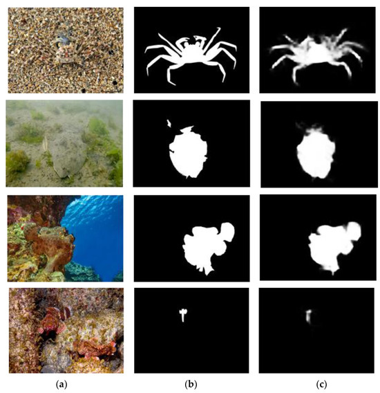 Camouflage Object Segmentation Using an Optimized Deep-Learning Approach
