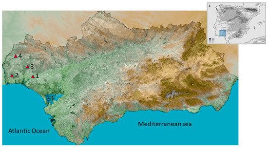 Preprocessing of Spectroscopic Data Using Affine Transformations to Improve Pattern-Recognition ...