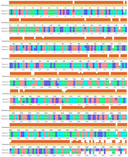 COVID-19 Genome Sequence Analysis for New Variant Prediction and Generation