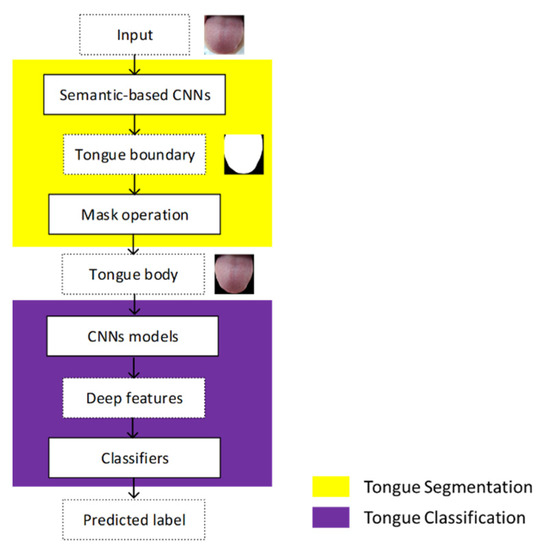 Tongue Segmentation and Color Classification Using Deep Convolutional Neural Networks