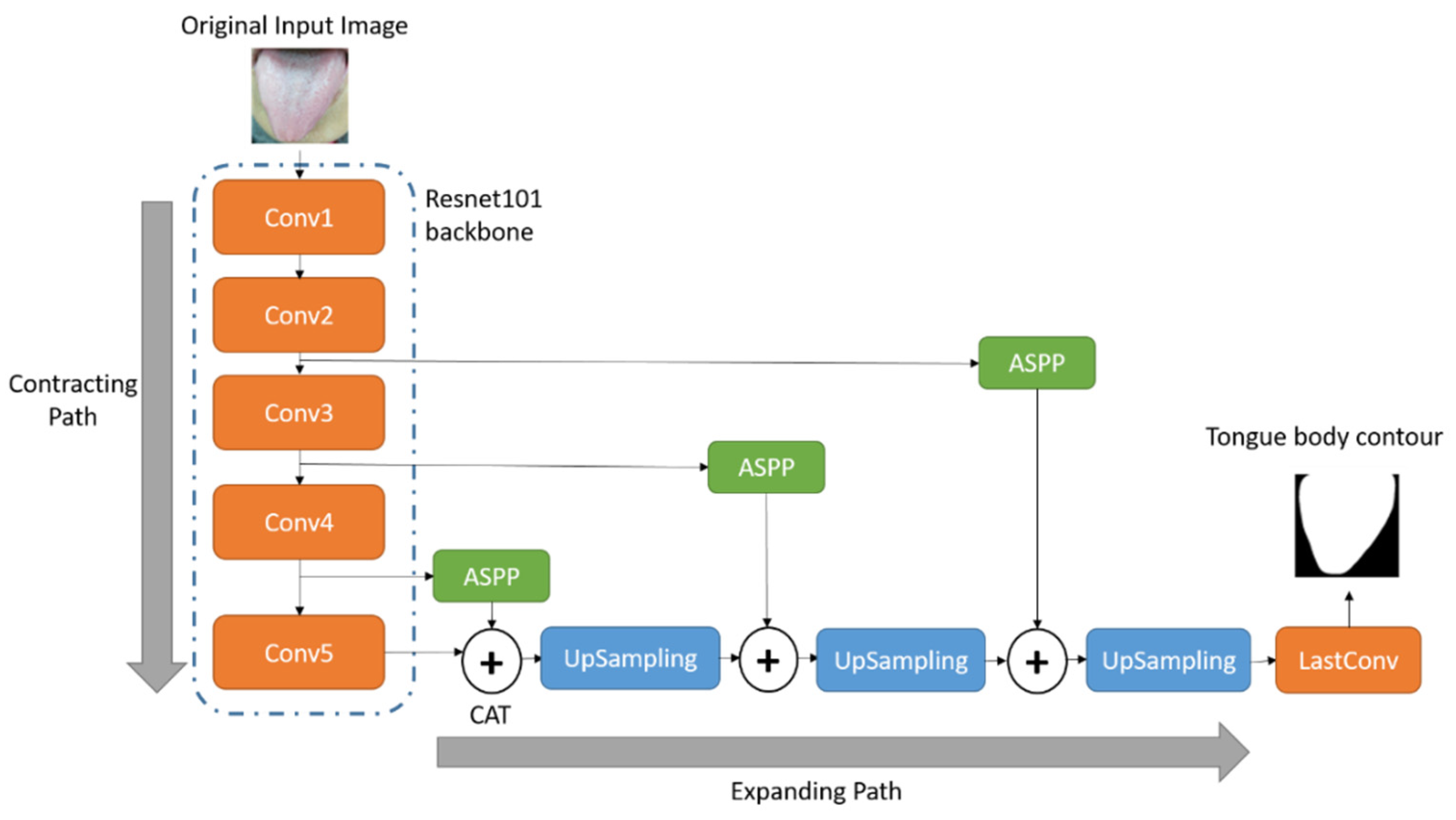 Tongue Segmentation and Color Classification Using Deep Convolutional Neural Networks