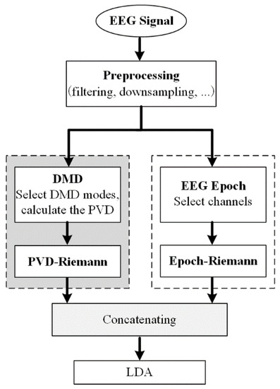 Mathematics | Free Full-Text | Phase Analysis of Event-Related ...