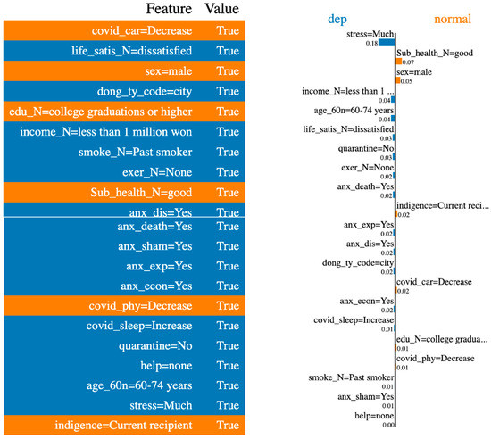 Explainable Deep-Learning-Based Depression Modeling of Elderly ...