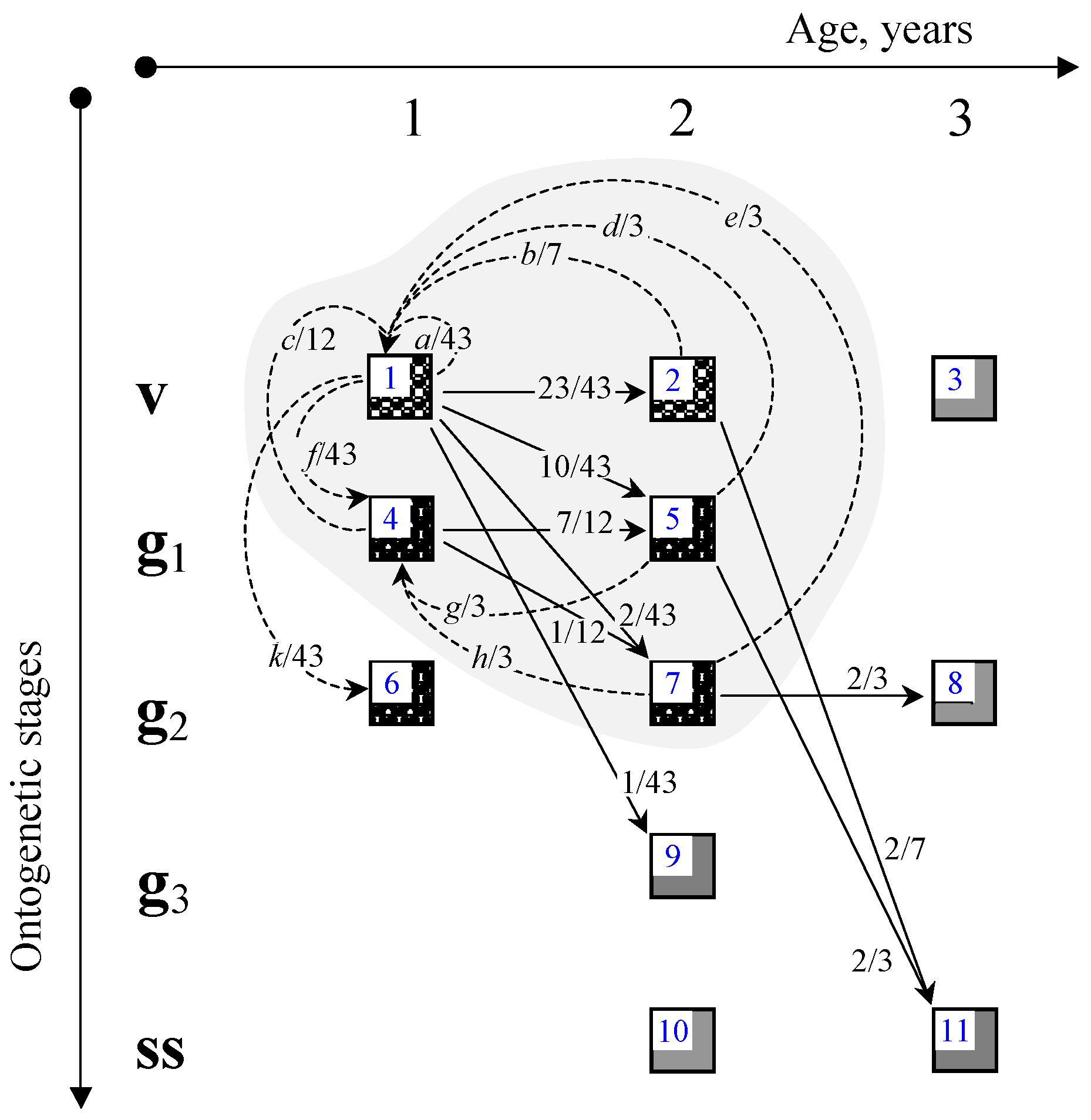 Pattern-Multiplicative Average of Nonnegative Matrices: When a ...