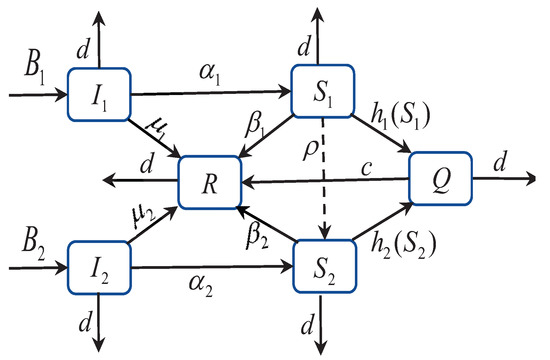 Complex Networks and Social Networks