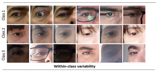 LDA-CNN: Linear Discriminant Analysis Convolution Neural Network for ...