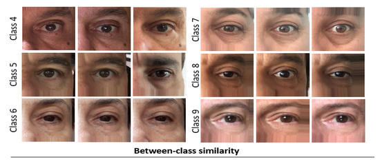 LDA-CNN: Linear Discriminant Analysis Convolution Neural Network for ...