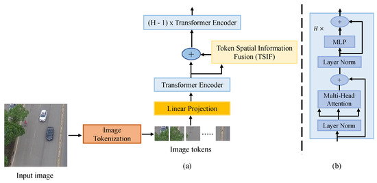Semantic Segmentation of UAV Images Based on Transformer Framework with ...