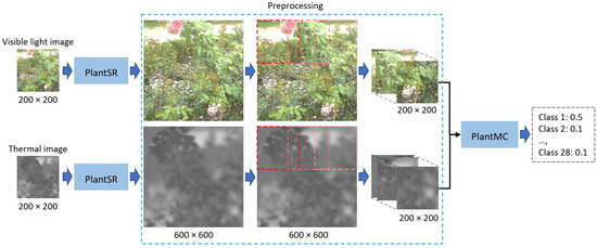 Super-Resolution Reconstruction-Based Plant Image Classification Using Thermal and Visible-Light ...