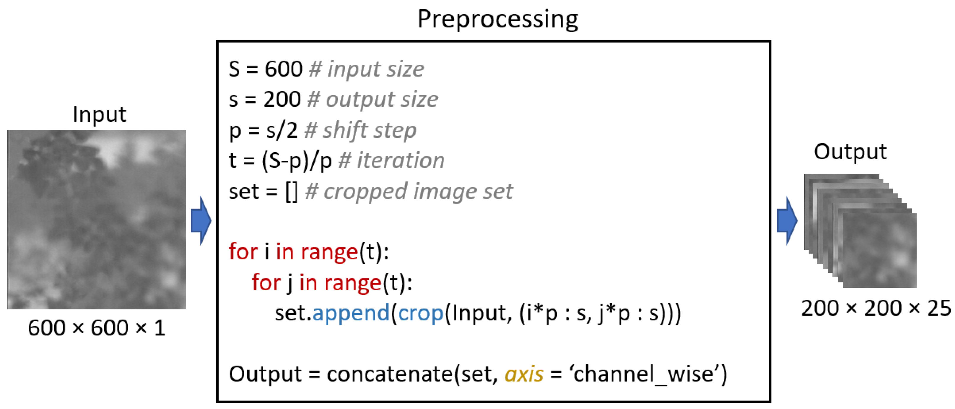 Super-Resolution Reconstruction-Based Plant Image Classification Using ...
