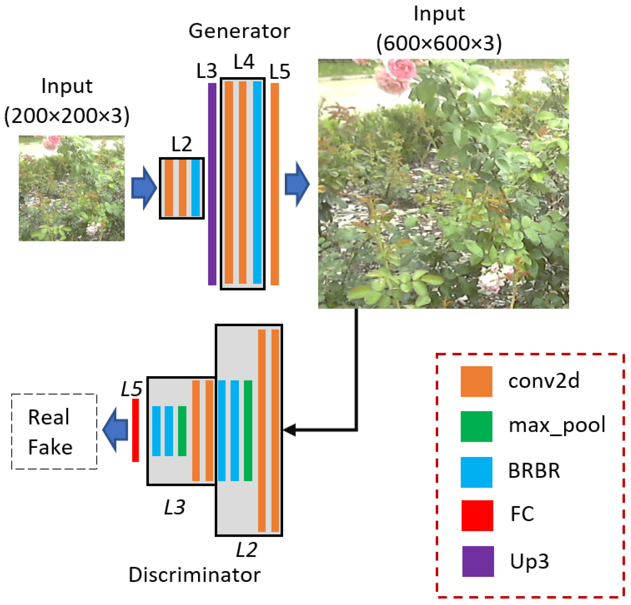 Super-Resolution Reconstruction-Based Plant Image Classification Using ...