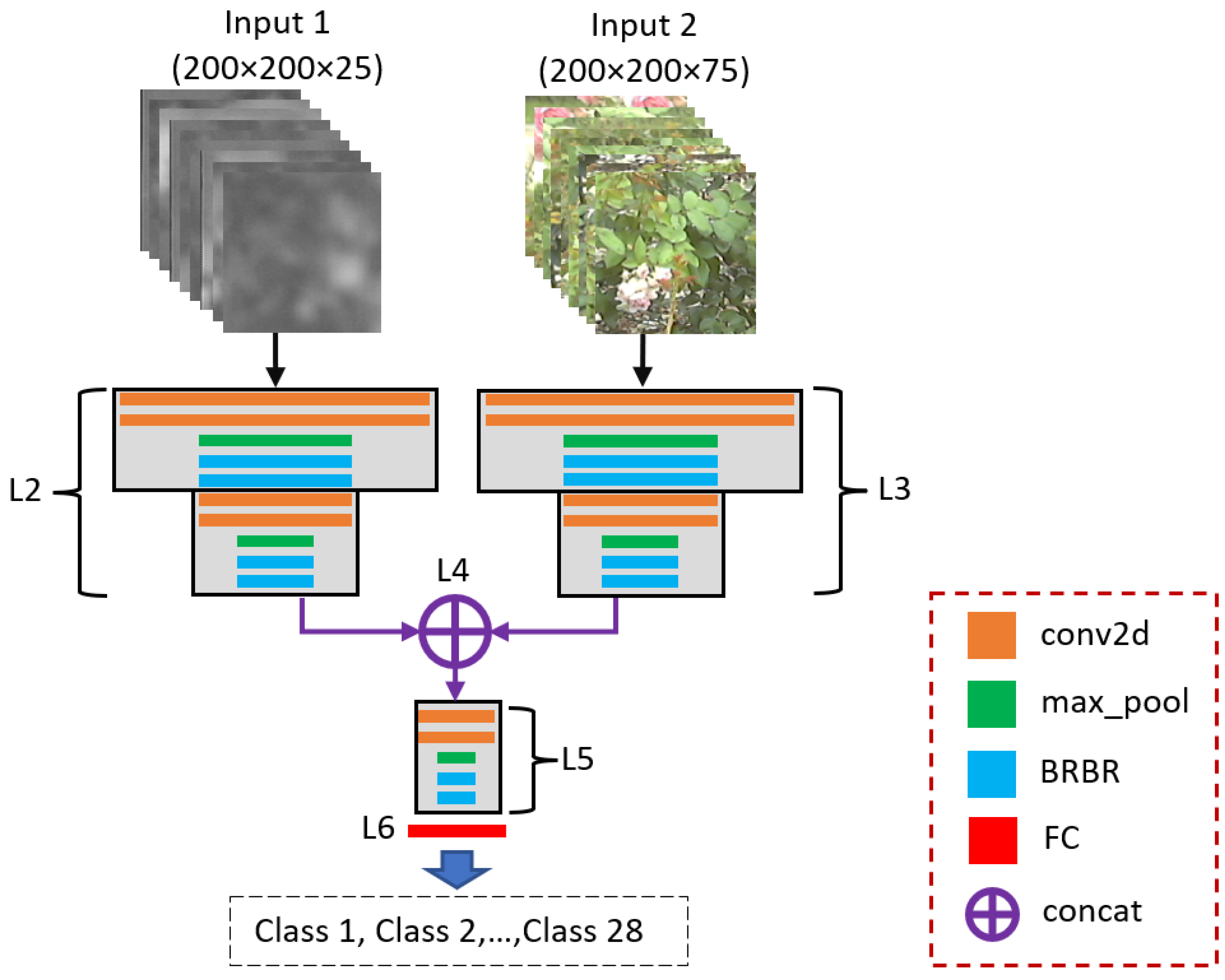 Super-Resolution Reconstruction-Based Plant Image Classification Using ...