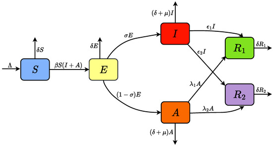 Equation-Based Modeling vs. Agent-Based Modeling with Applications to ...